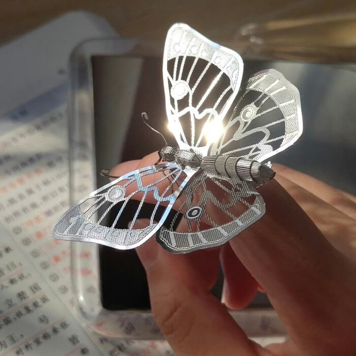 INFP｜Butterfly #INFP 命运会让我们相遇##朋友圈背景图# - 堆糖，美图壁纸兴趣社区