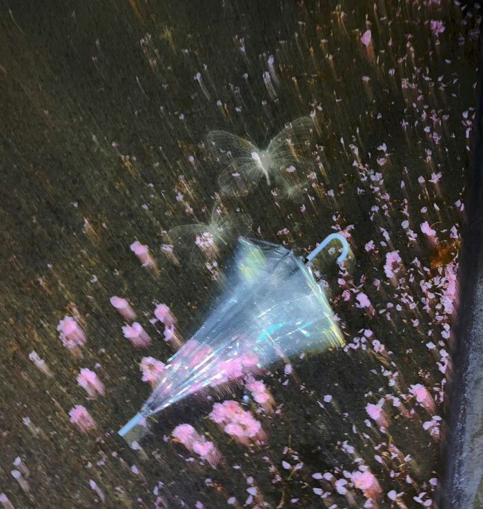 INFP｜Butterfly #INFP 命运会让我们相遇##朋友圈背景图# - 堆糖，美图壁纸兴趣社区