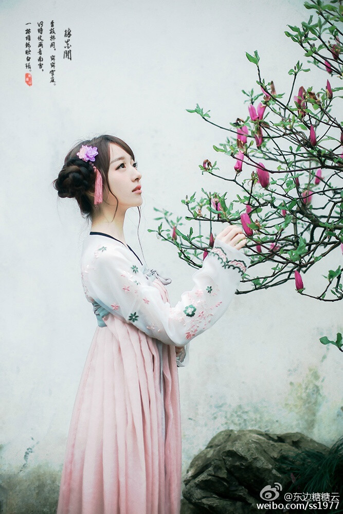 【汉服】#苏州园林# #东边云巡拍# 《醉花间》青枝拂阕，寂寂空庭，何时仗尔看南雪，一林堆锦映白头。出镜@小狐狸叫黛黛 造型@陌上金玲 同行 ...